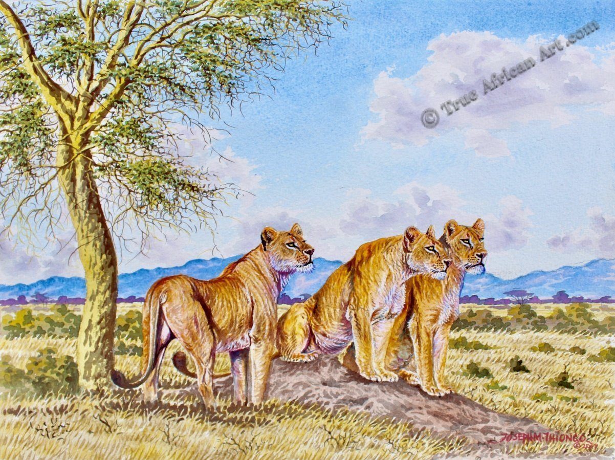 Kenyan Joseph Thiongo | Lioness Pack | True African Art .com